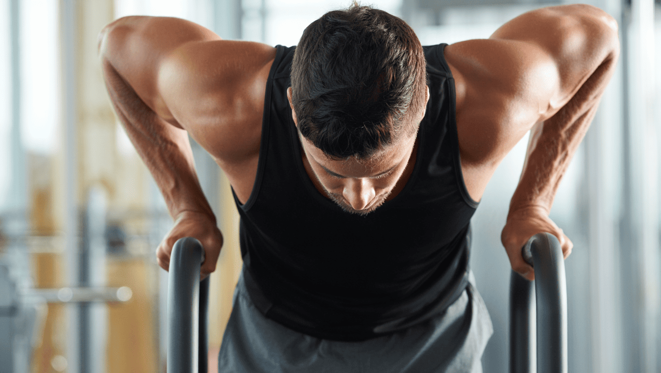 muscles sollicités lors des dips Découvrez 12 ans de coaching